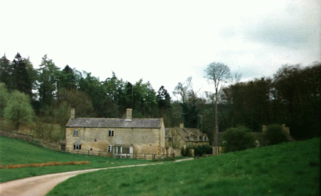 David Williams' Art Gallery