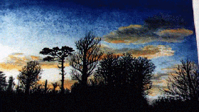 David Williams' Art Gallery