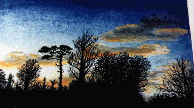 David Williams' Art Gallery