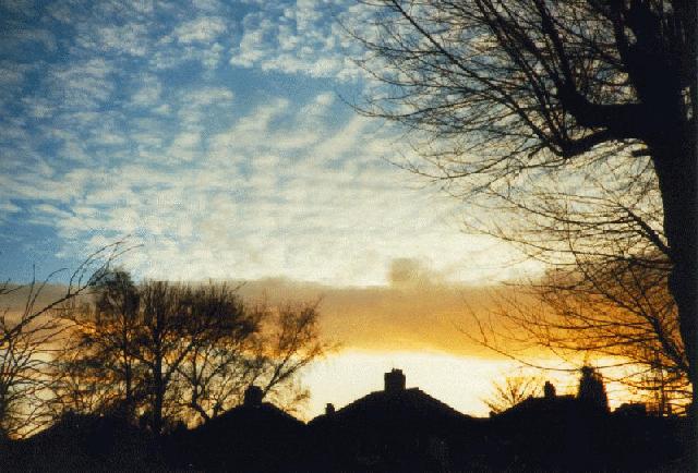 David Williams' Art Gallery